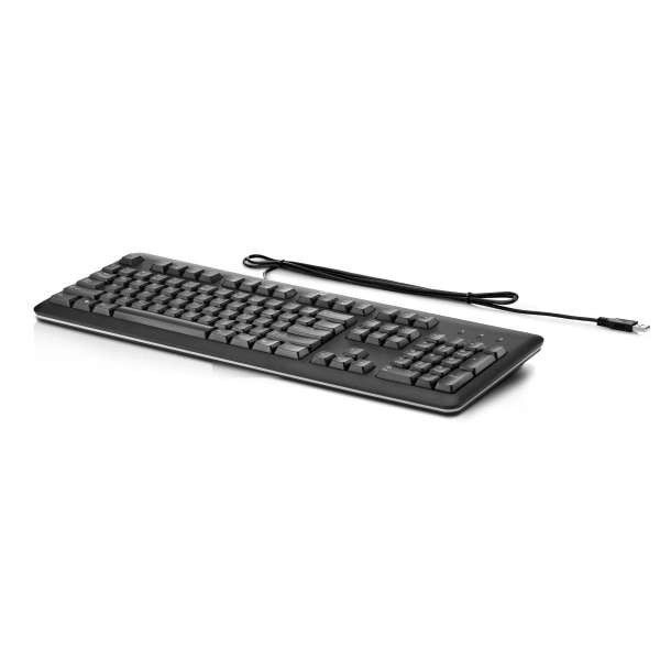Клавиатура HP USB Keyboard Rus/ Eng (QY776AA) купить по цене 2612 руб.